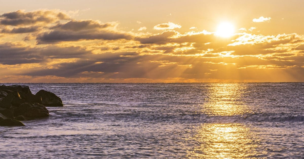 Natalie Angelo | Shore Neuropsychology